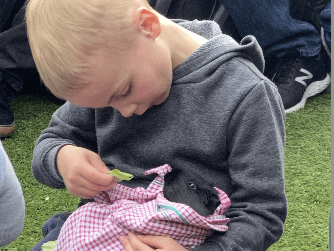 Educational value of animal visits at Kids College | Kids College